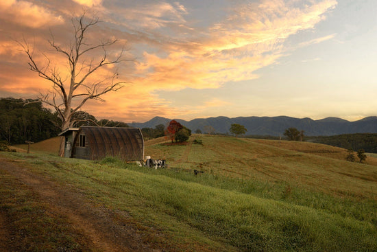 Unique Accommodation for Farm Stay - Levenvale Farm