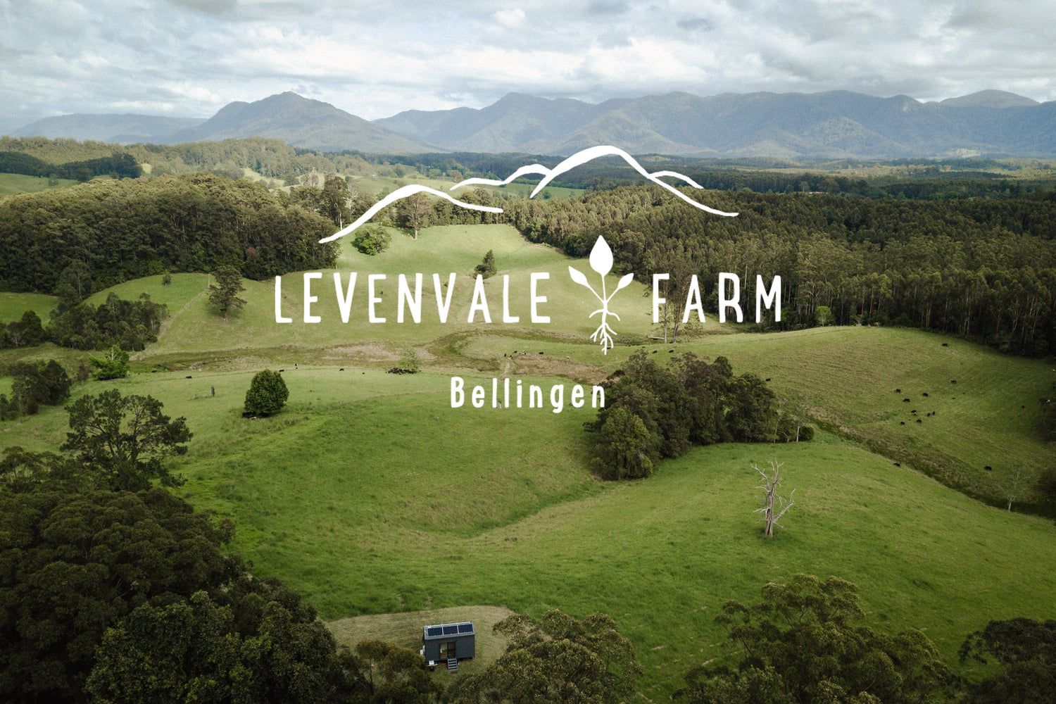 Levenvale Farm - Paddock to Plate Butcher | Farm Stay | Event Place